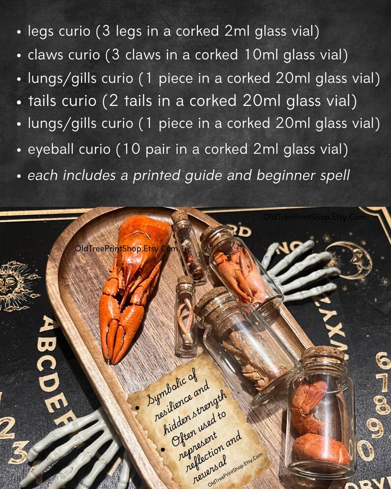 Witch Witchcraft Small Witch Kit Gift Oddity Curio Surprise Gift Set ...