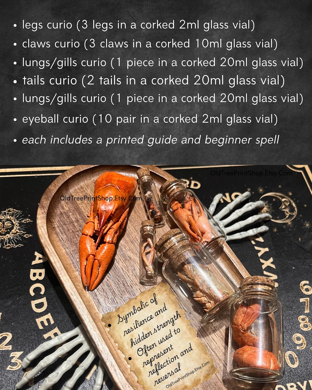 Strange Curio Crafts and Unusual Witchy Items Little Bone Vials Decor ...