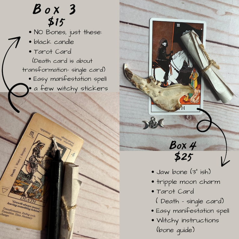 Oddity Gift With Jaw Bone and Tarot Card Bundled Gift Boxes for Friends ...
