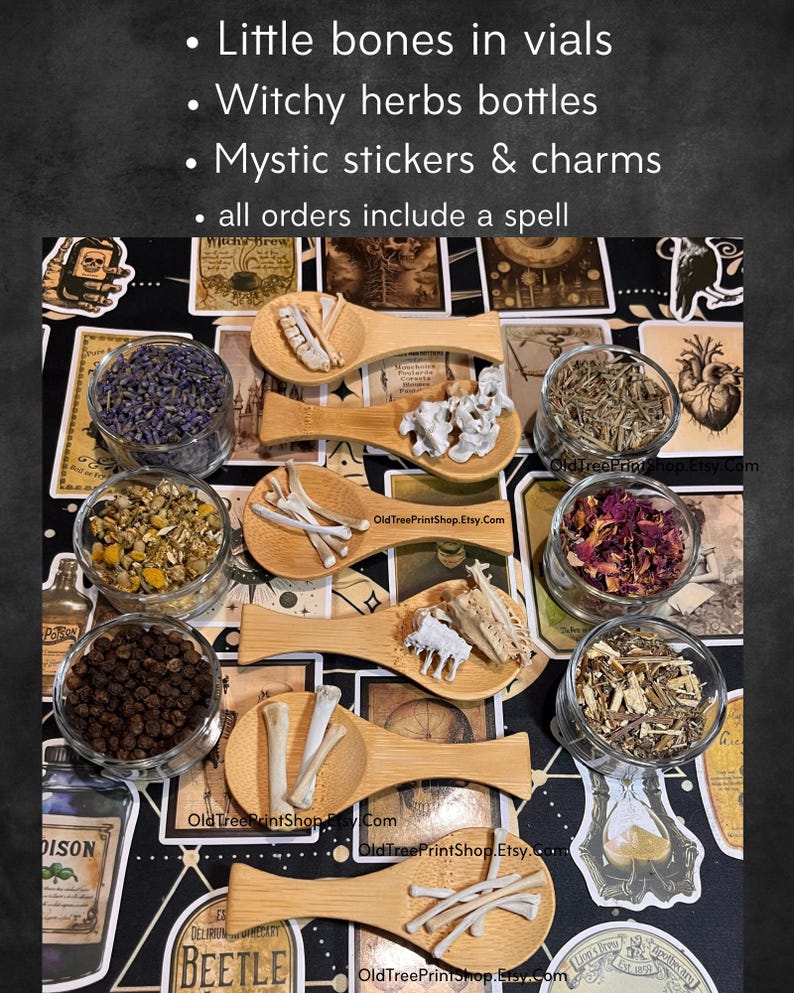 Witch Witchcraft Small Witch Kit Gift Oddity Curio Surprise Gift Set ...