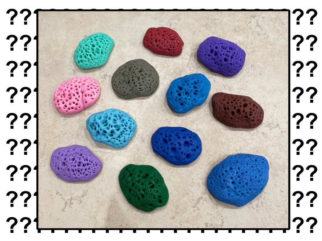 Mystery Trypophobia Rocks - Etsy