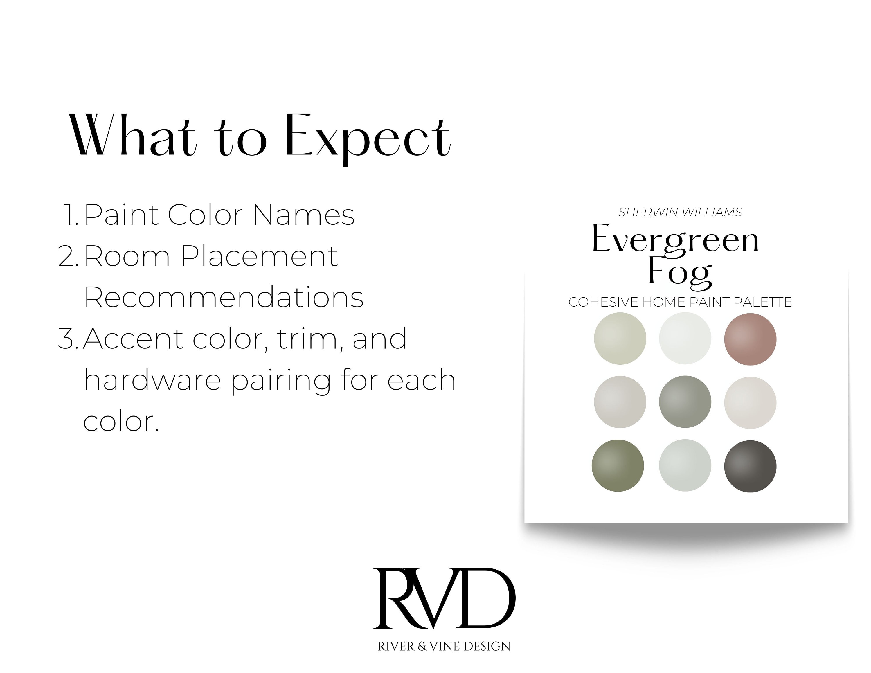 Evergreen Fog Paint Palette: Modern Neutral Colors (digital Download ...