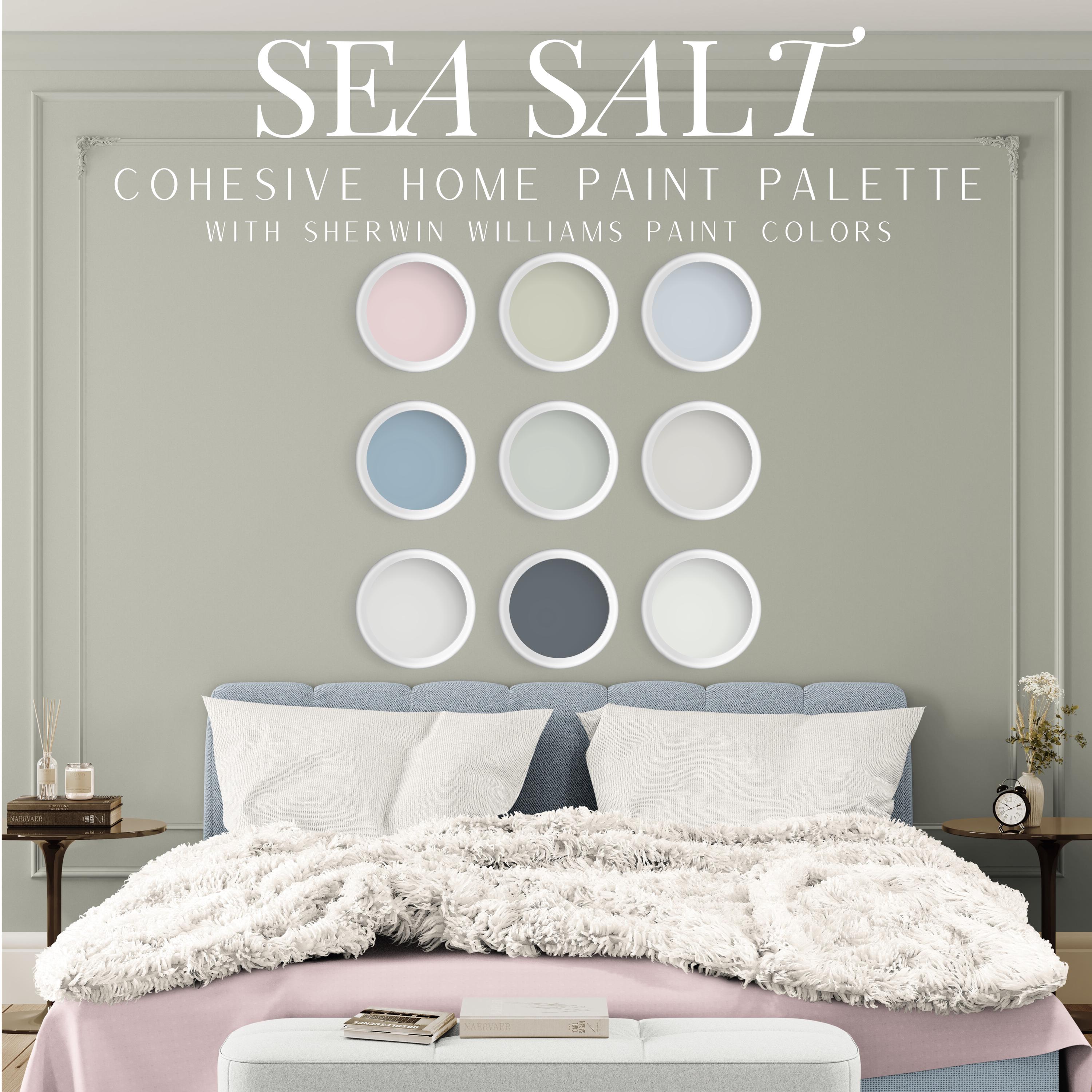 Sherwin Williams Sea Salt Paint Palette: Cohesive Whole House Colors ...