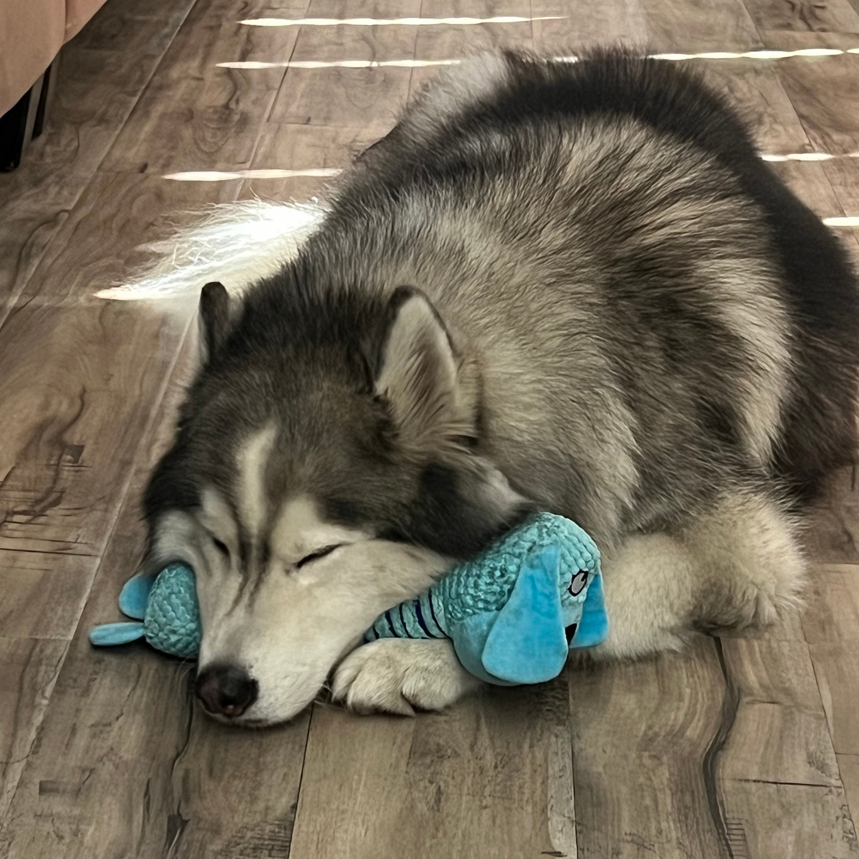 Plush Dog Toy Plush Squeaky Toy New Dog Gift Dog Chew Squeaker Animal ...