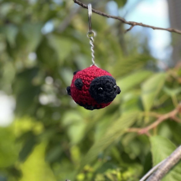 Miraculous Ladybug - Etsy Australia