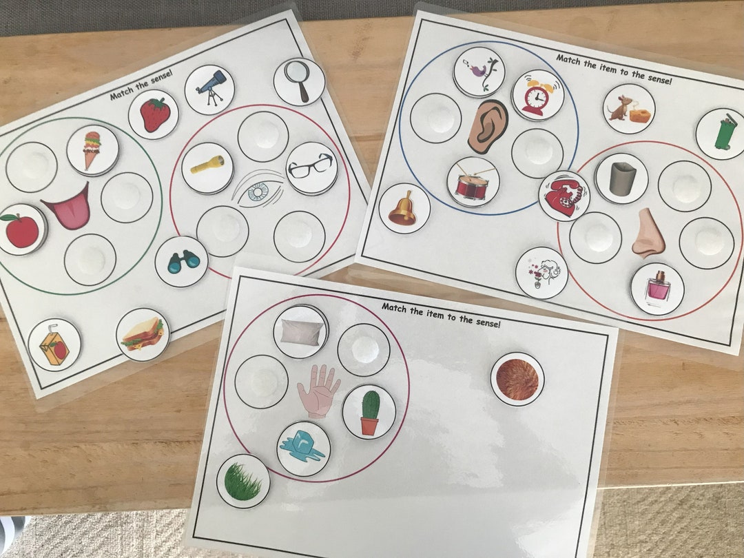Learning the 5 Senses, Smell, Touch, Sight, Taste, Hearing - Etsy