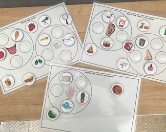 5 Senses Set, Touch Taste Hearing Sight Smell Activity, What Are the 5 ...