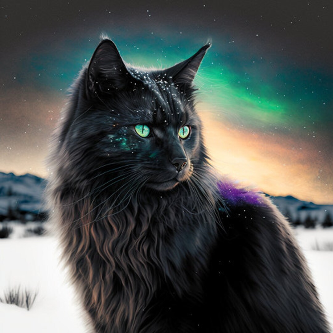 Winter Kitty and the Aurora Borealis - Etsy