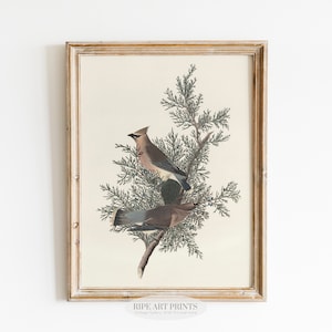 Printable Vintage Gallery Wall Art SET, European Paintings, Aesthetic ...