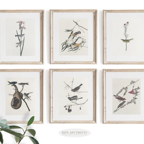 Bird Painting Set - Etsy