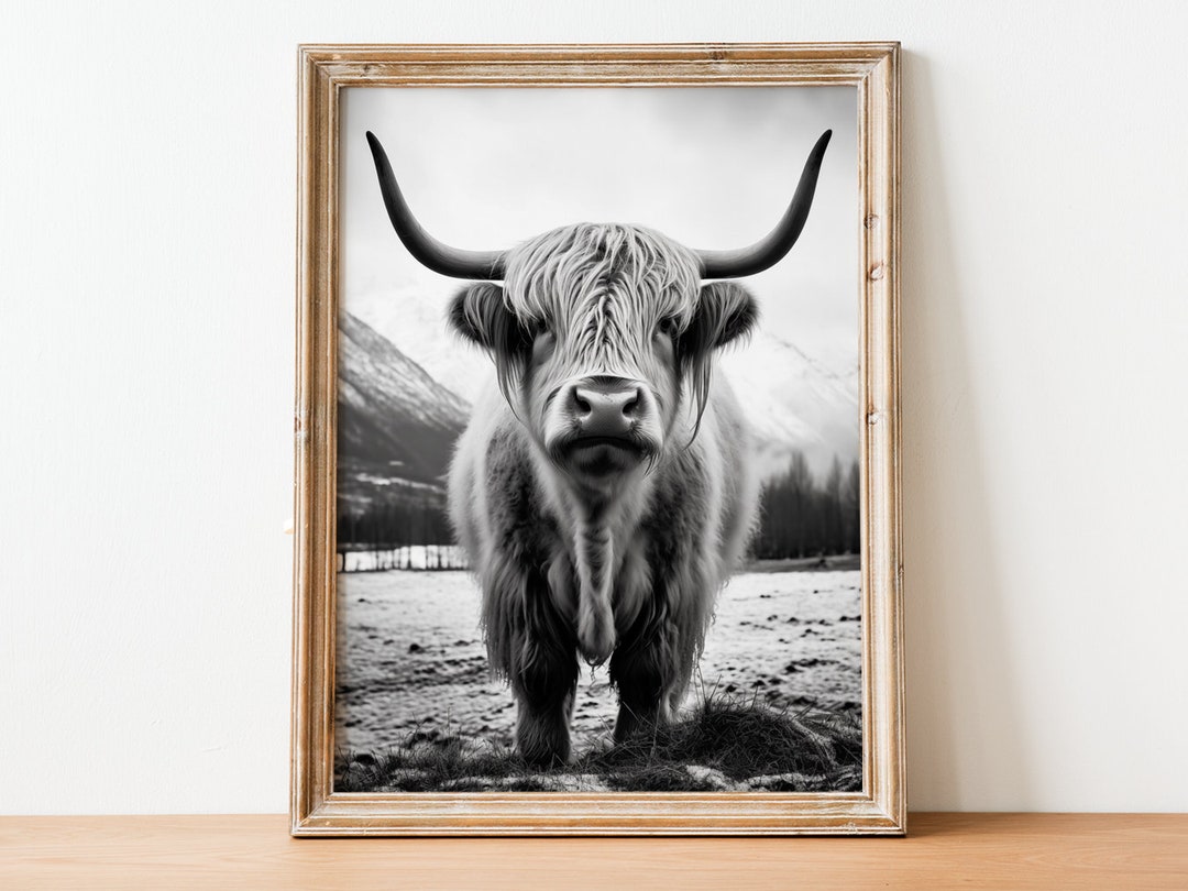 Highland Cow Printable Wall Art Design, Digital Wall Art, Home Décor ...