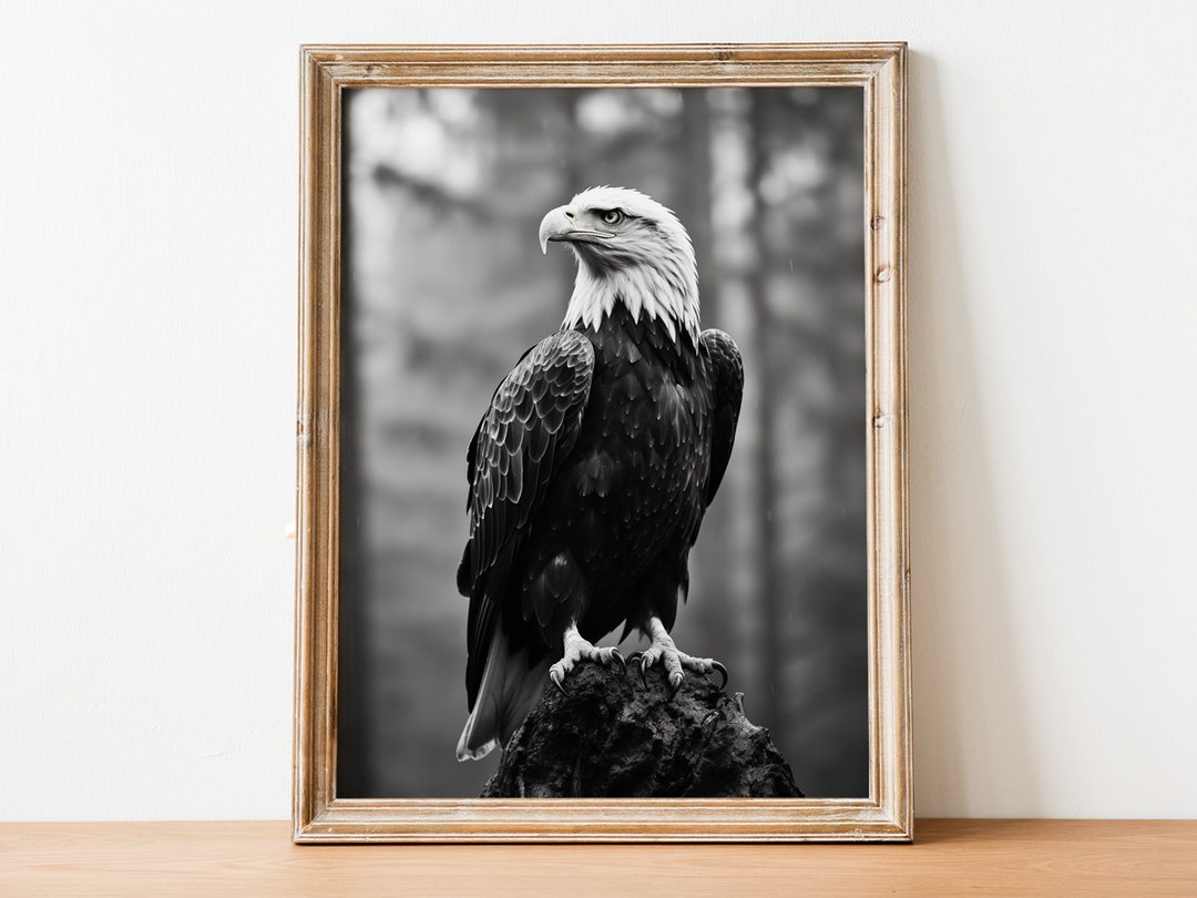Bald Eagle Printable Art: Large Format Poster Design (digital Download ...