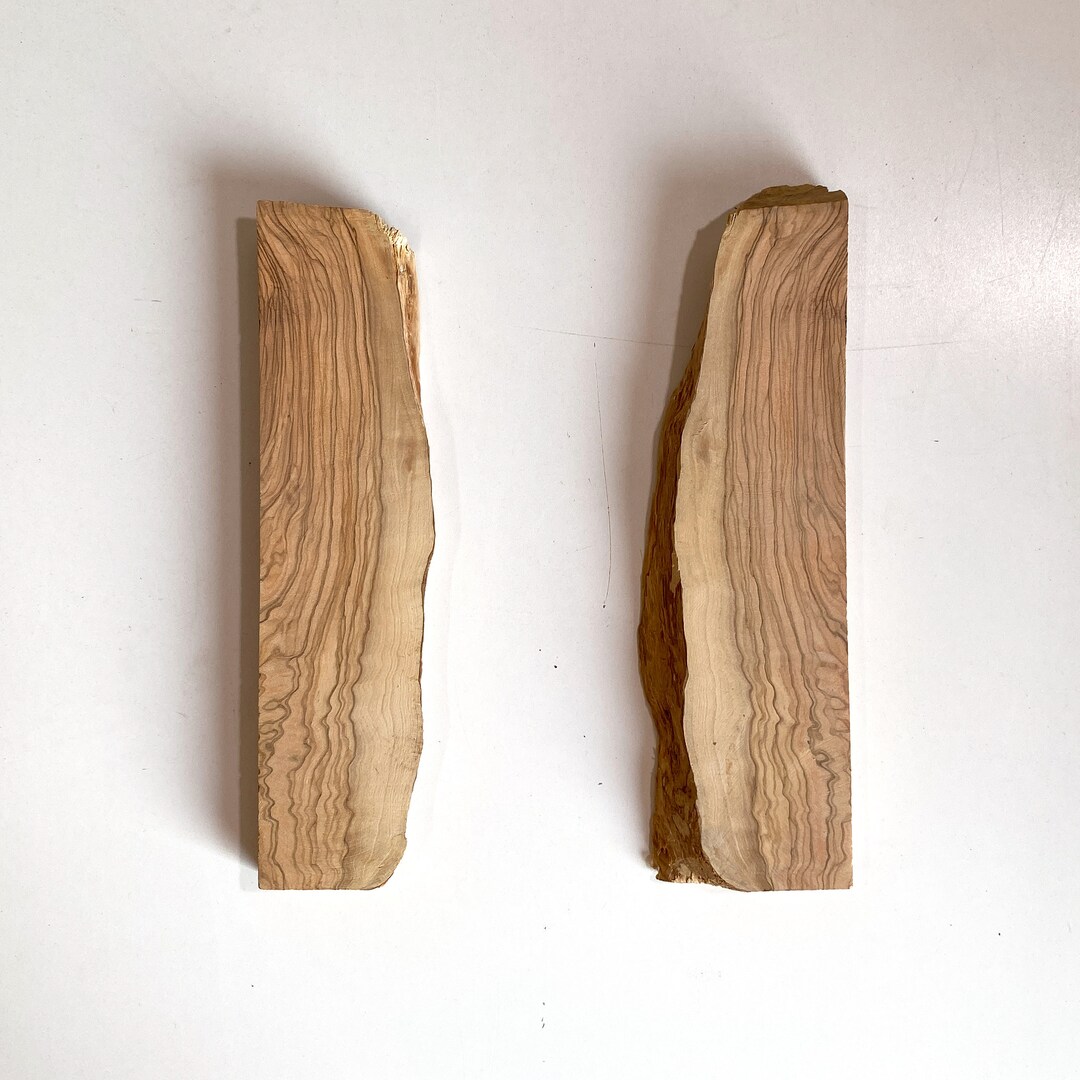 Live Edge Wood Slab, Olive Tree Slice, Round Reclaimed Unique Wooden ...