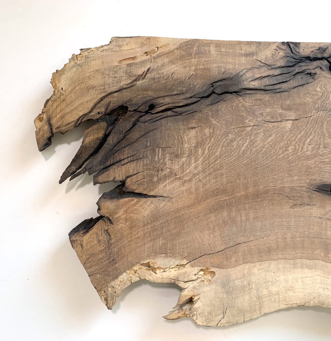 Live Edge Wood Slab Elm Tree Slice Round Reclaimed Unique - Etsy