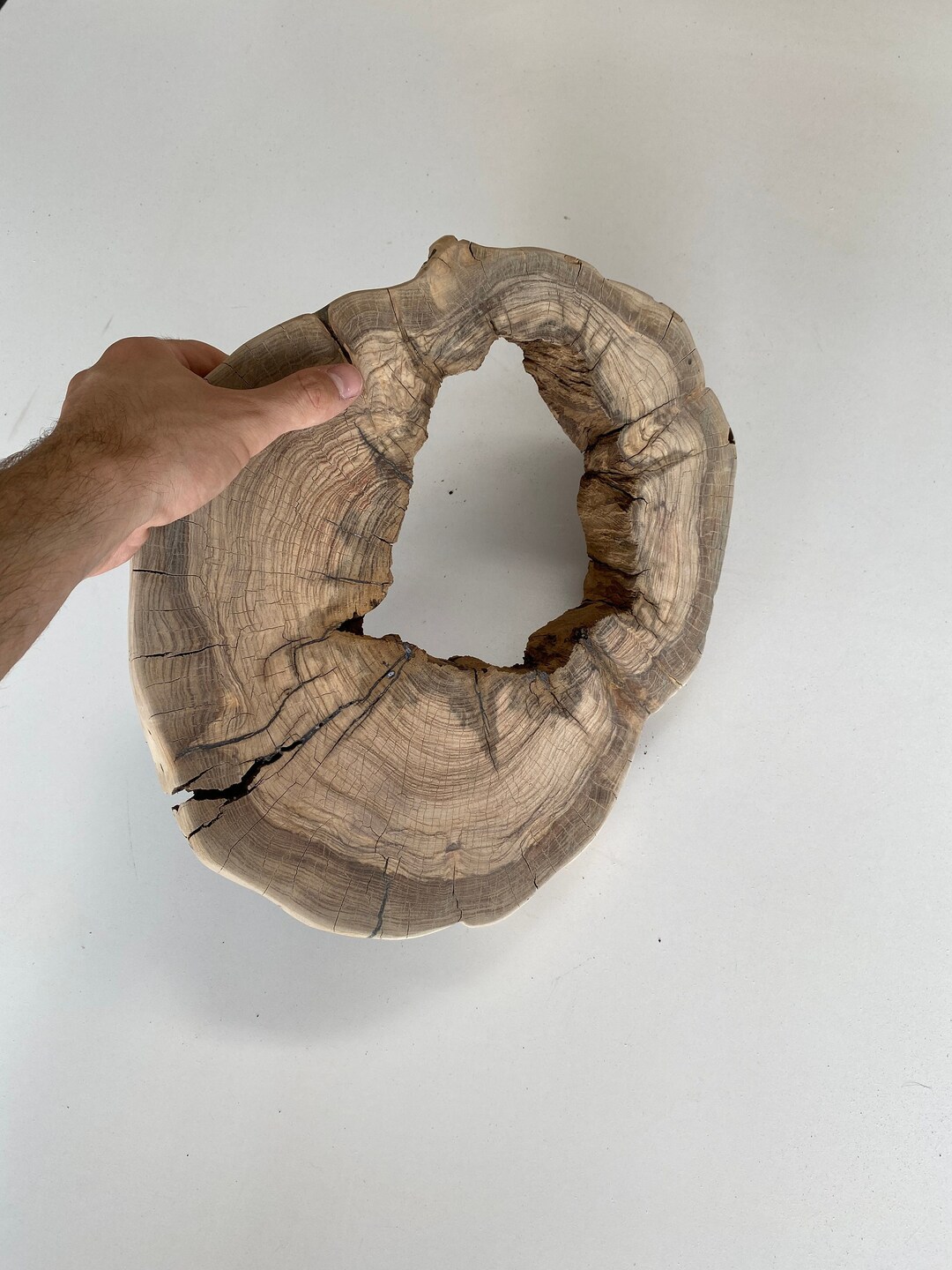 Live Edge Wood Slab, Olive Tree Slice, Round Reclaimed Unique Wooden ...