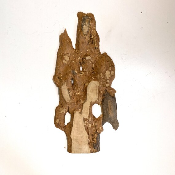 Live Edge Wood Slab Olive Tree Slice Round Reclaimed Unique - Etsy