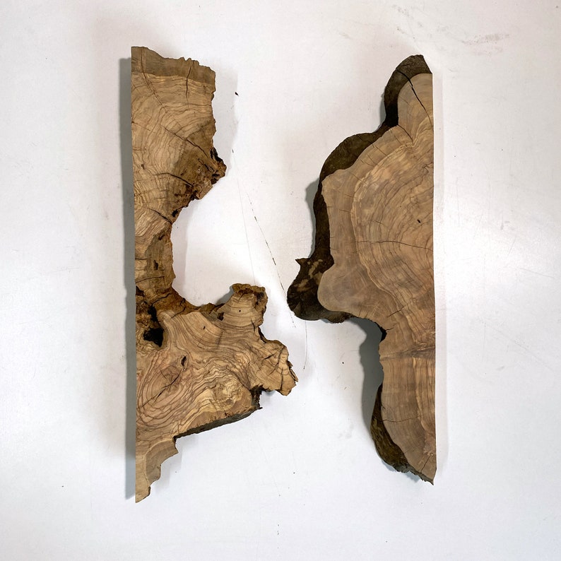 Live Edge Wood Slab Olive Tree Slice Round Reclaimed Unique - Etsy