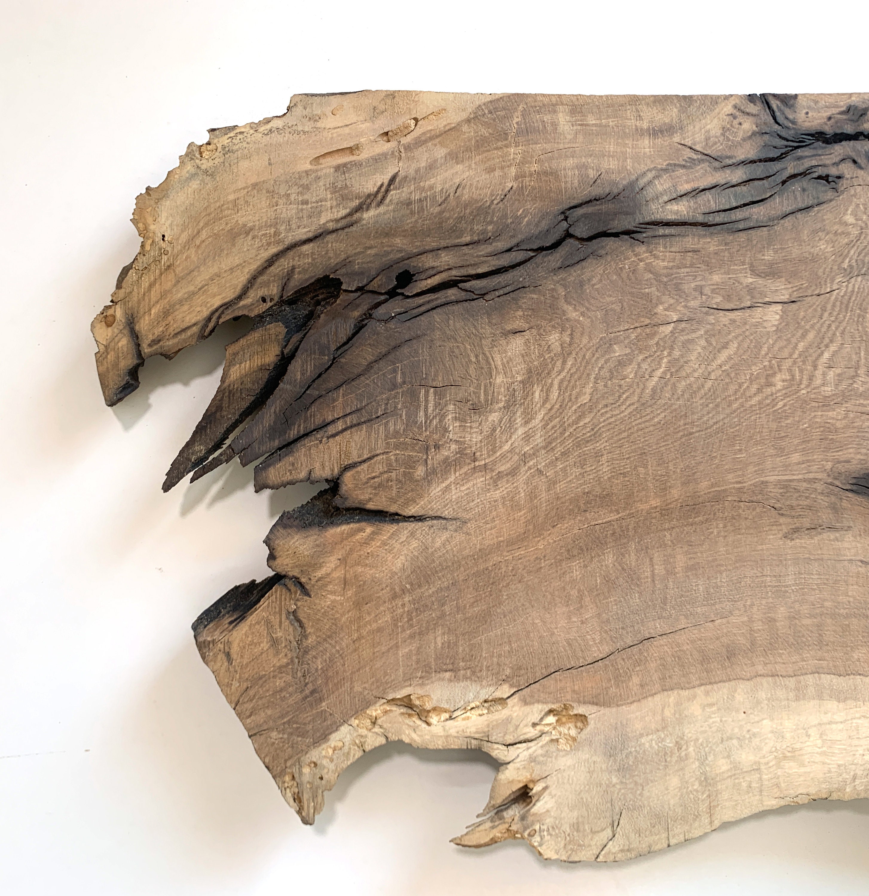 Live Edge Wood Slab Elm Tree Slice Round Reclaimed Unique - Etsy