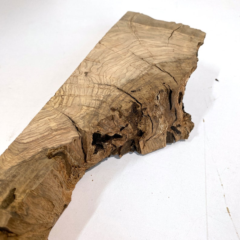Live Edge Wood Slab Olive Tree Slice Round Reclaimed Unique - Etsy