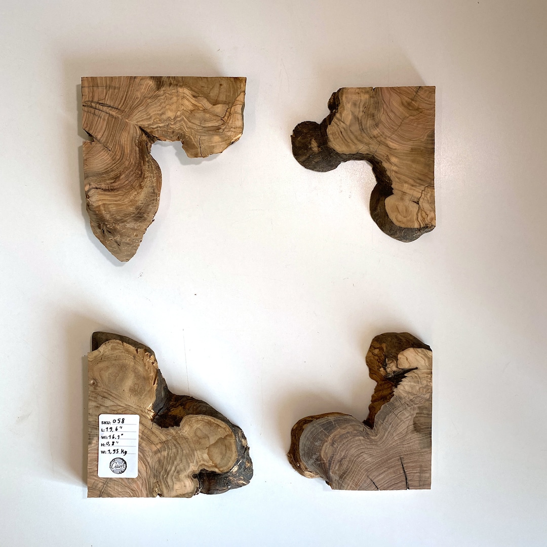 Live Edge Wood Slab, Olive Tree Slice, Round Reclaimed Unique Wooden ...