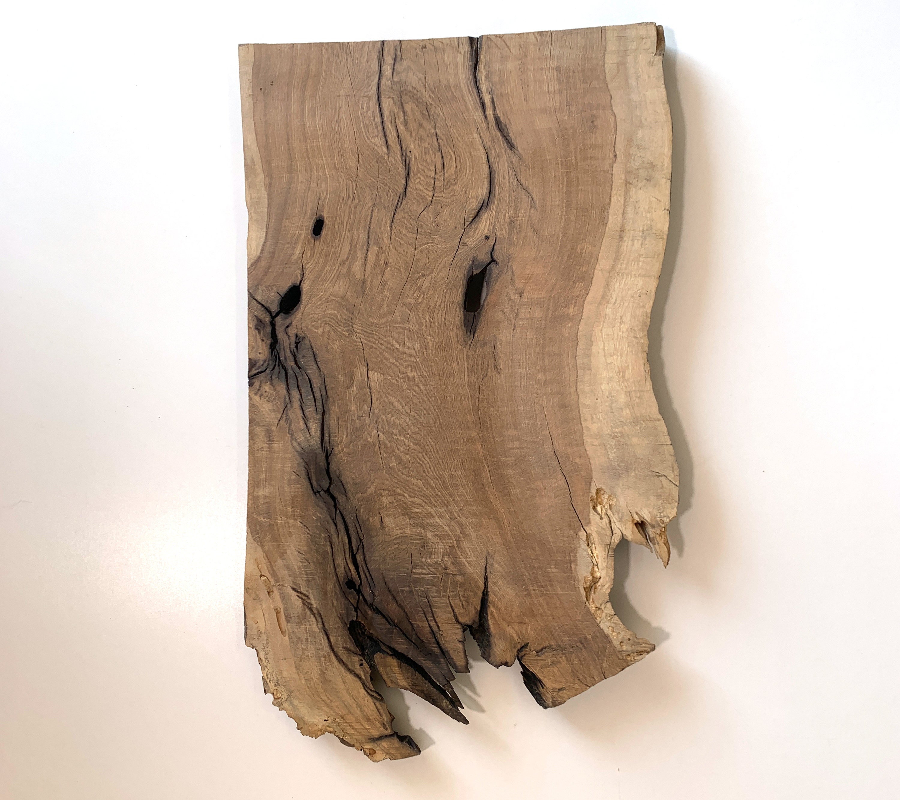 Live Edge Wood Slab Elm Tree Slice Round Reclaimed Unique - Etsy