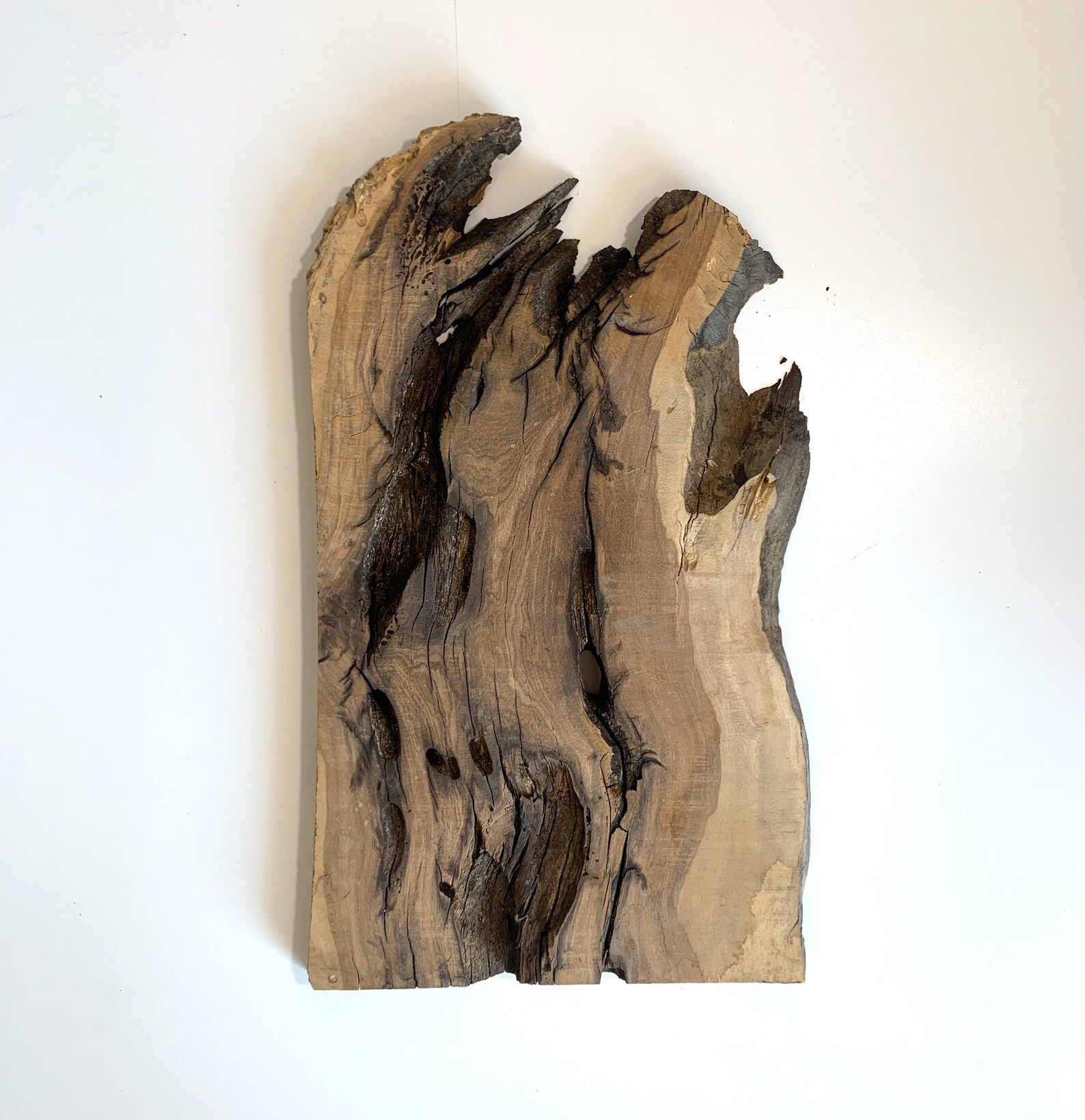 Live Edge Wood Slab, Elm Tree Slice, Round Reclaimed Unique Wooden ...
