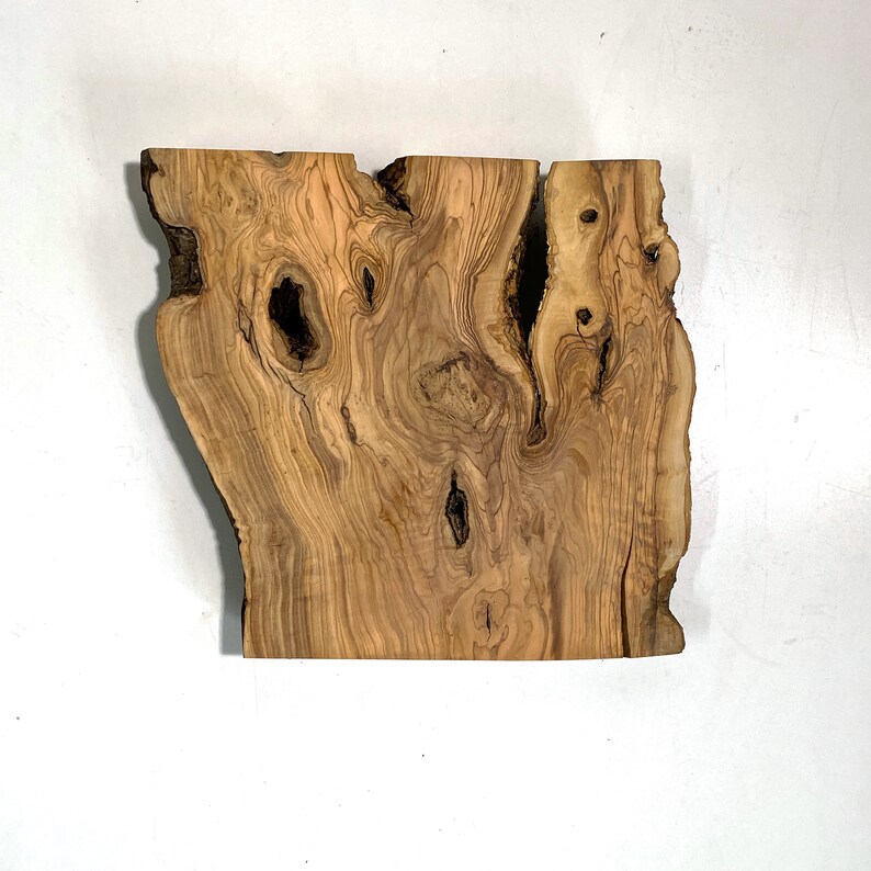 Live Edge Wood Slab Olive Tree Slice Round Reclaimed Unique - Etsy