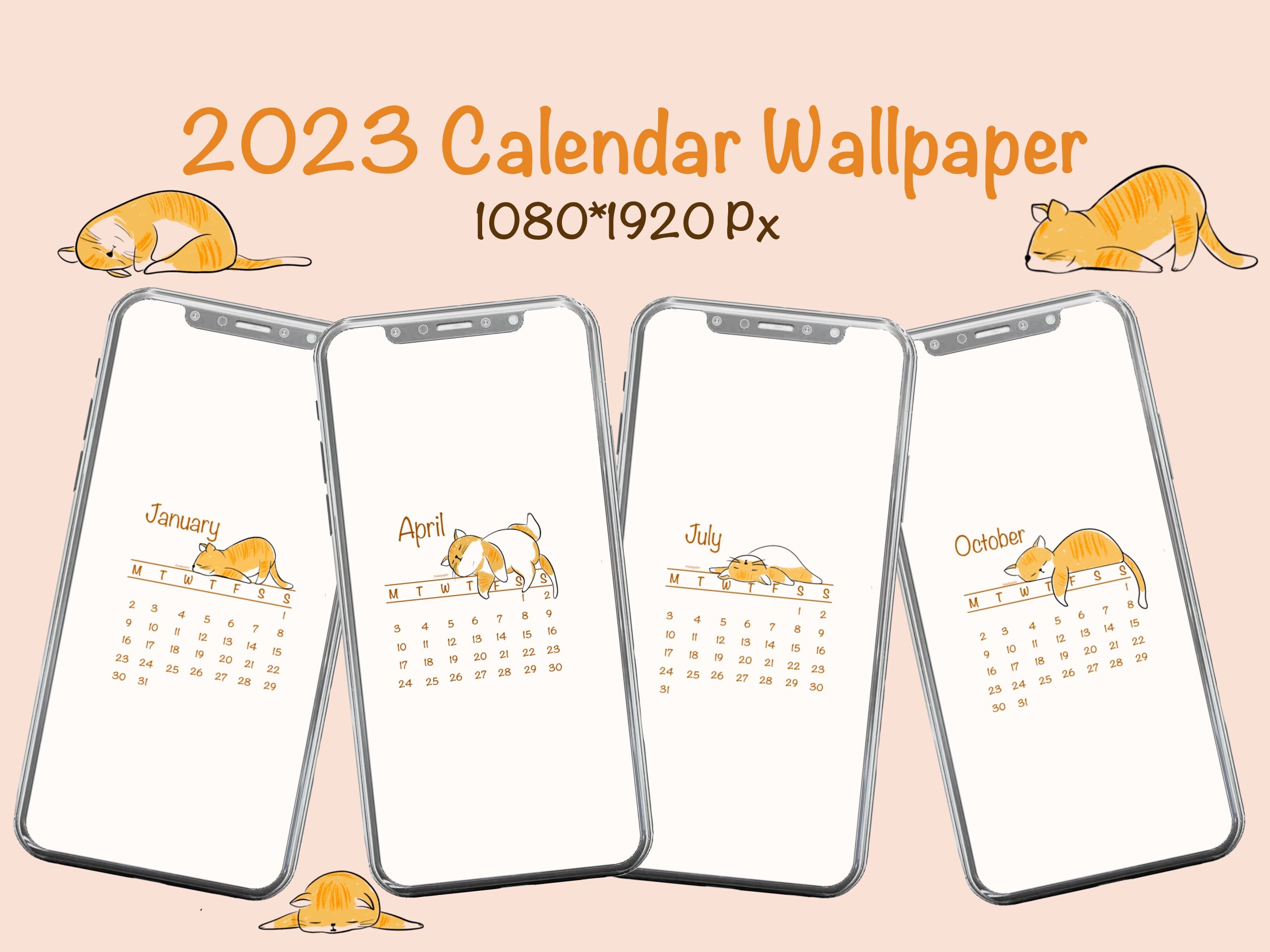 Sleepy Cat 2023 Calendar Wallpaper Cute Wallpaper Simple - Etsy