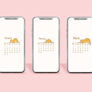 Sleepy Cat 2023 Calendar Wallpaper Cute Wallpaper Simple - Etsy