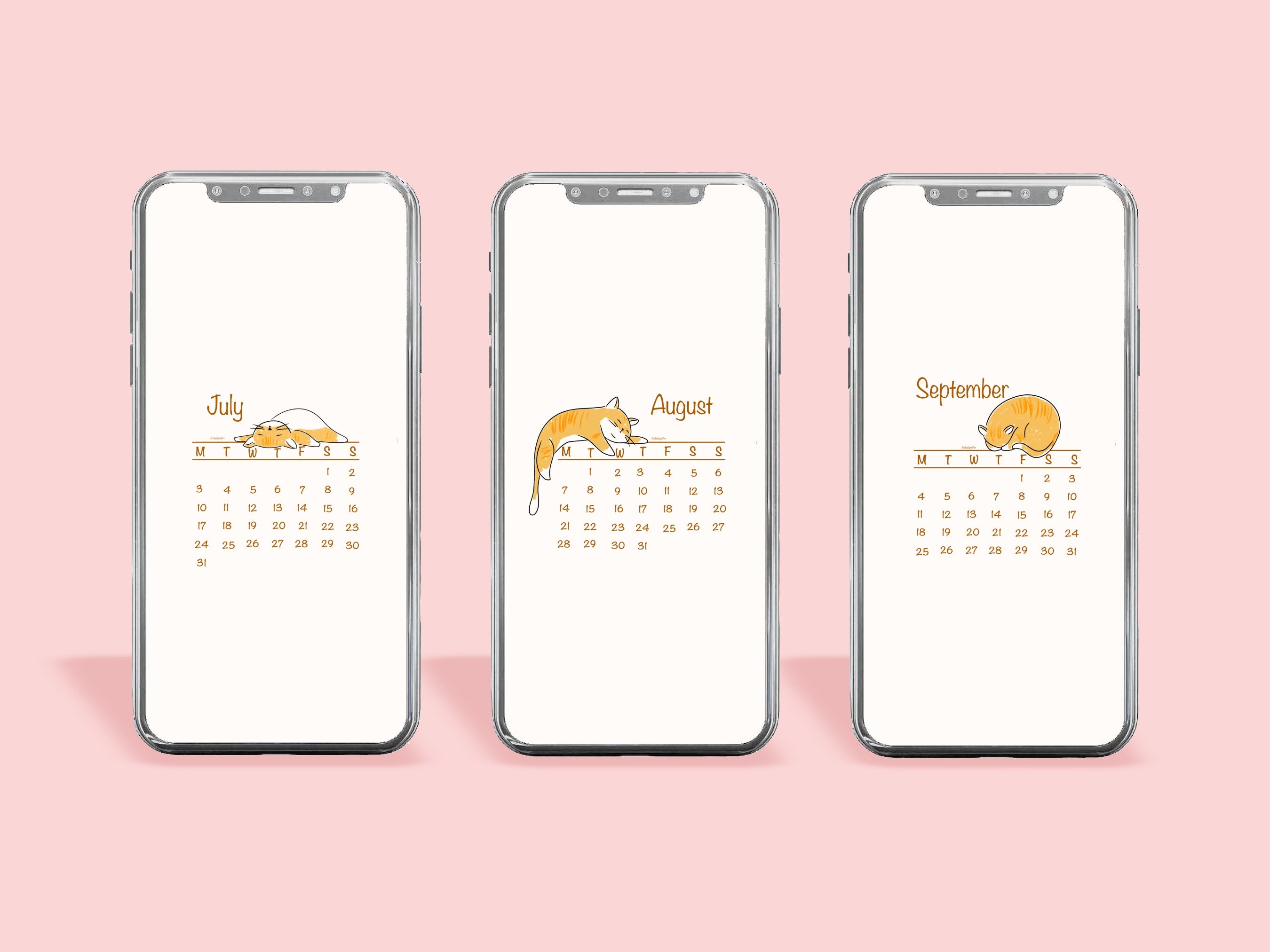 Sleepy Cat 2023 Calendar Wallpaper Cute Wallpaper Simple - Etsy