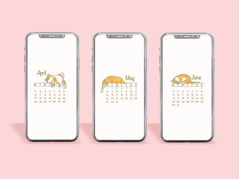 Sleepy Cat 2023 Calendar Wallpaper Cute Wallpaper Simple - Etsy