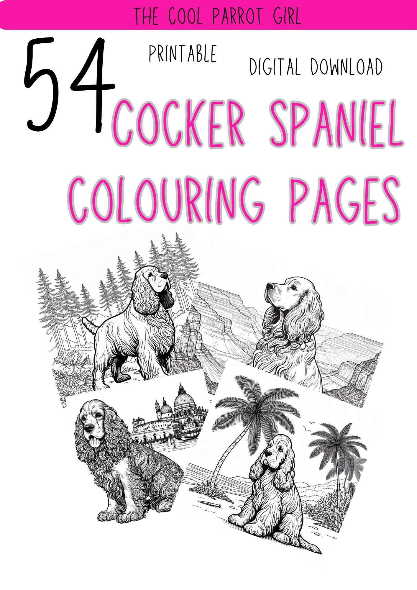 Cocker Spaniel Printable Coloring Pages - Printable Dog Coloring Book ...