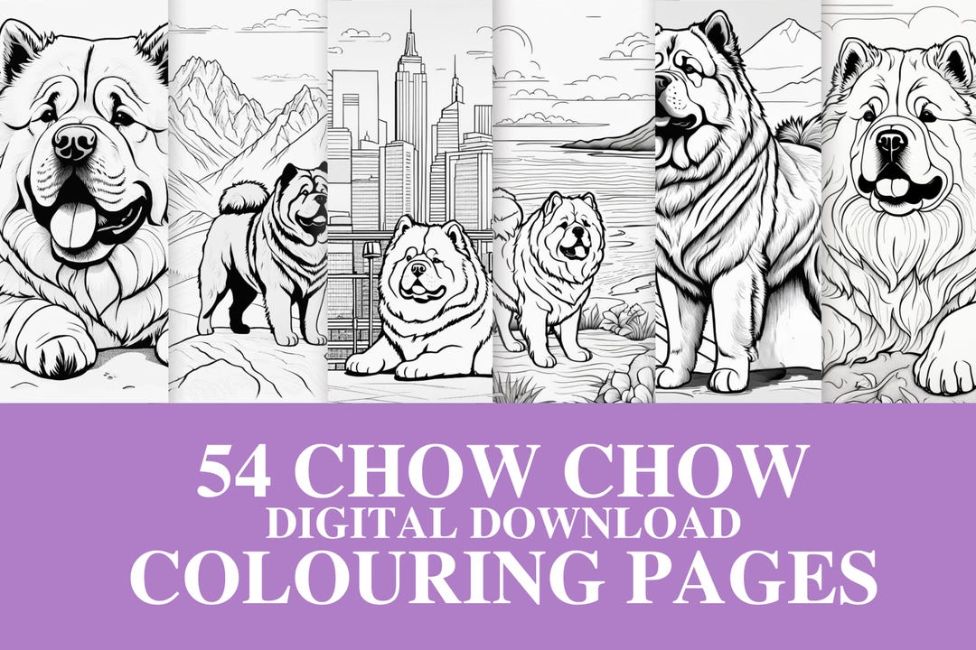 Digital Chow Chow Colouring Sheets - Printable Pet Colouring Book - Etsy