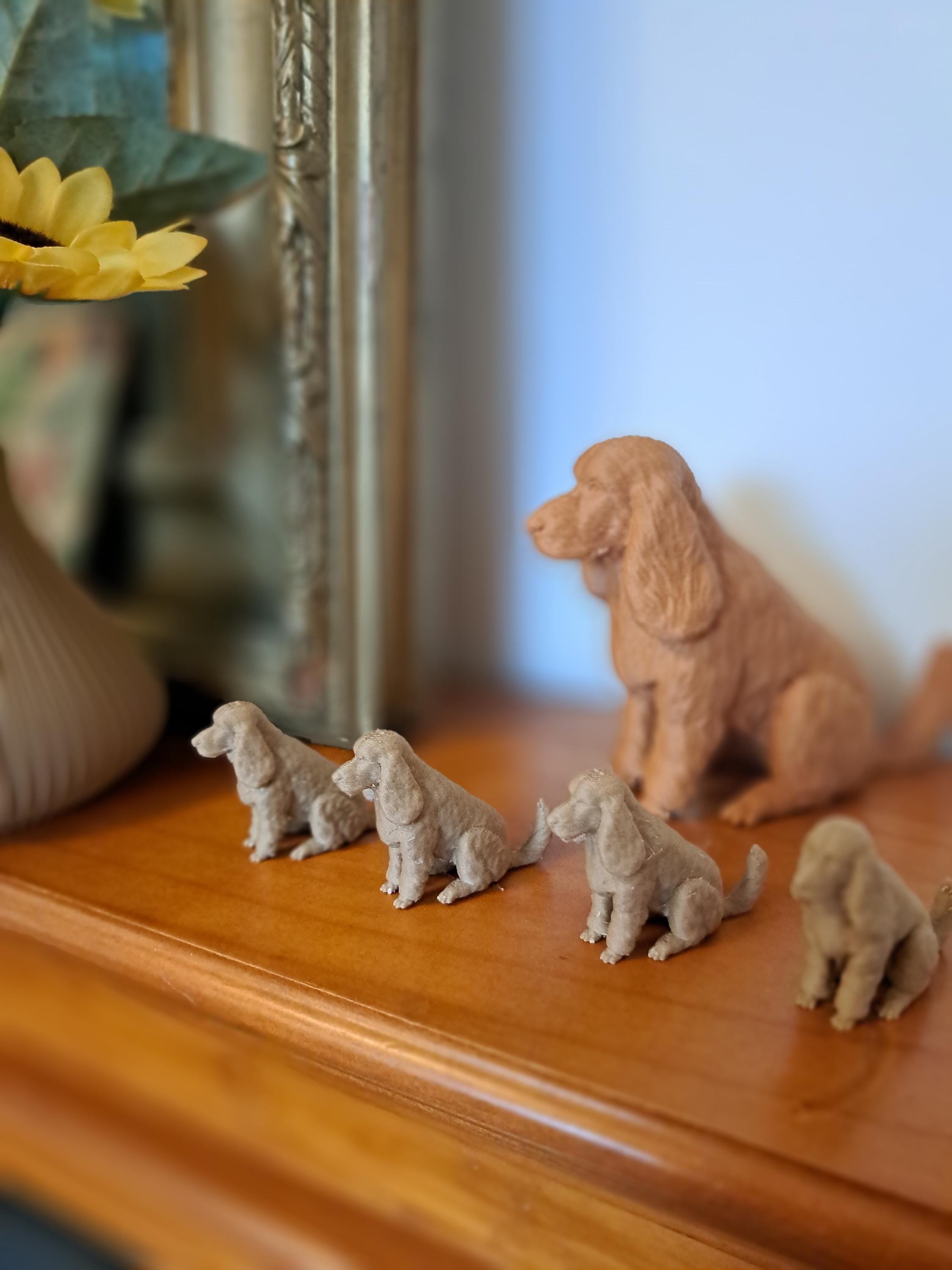 3d Printed, English Cocker Spaniel Dog Sitting Figurine, Cocker Spaniel ...