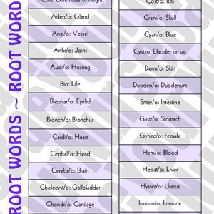 Medical Language for Nursing Students, Nursing Bundle - Etsy