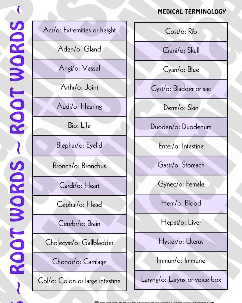 Medical Language for Nursing Students, Nursing Bundle - Etsy