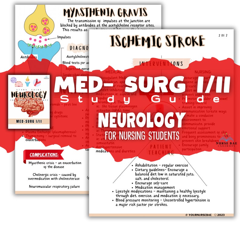 Neuro Study Guide, Nursing Med Surg I/II Neuro Bundle for Nursing ...