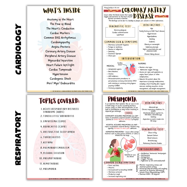 Med Surg Nursing School Study Guide Bundle - Etsy