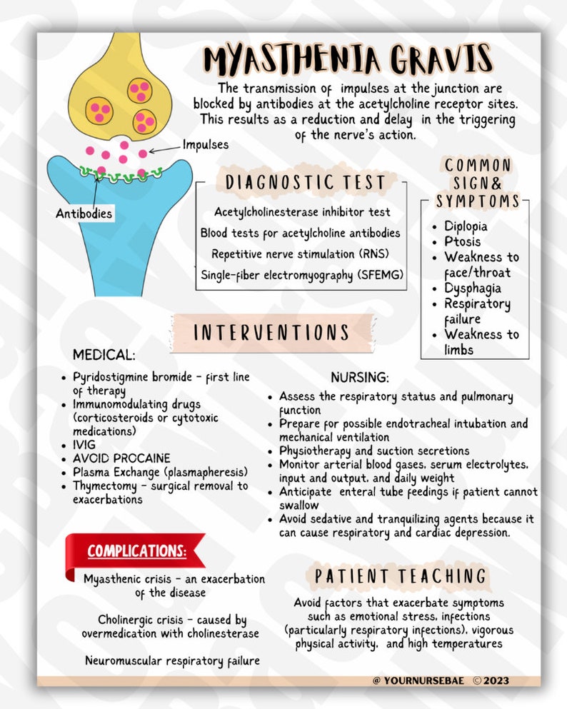 Neuro Study Guide, Nursing Med Surg I/II Neuro Bundle for Nursing ...