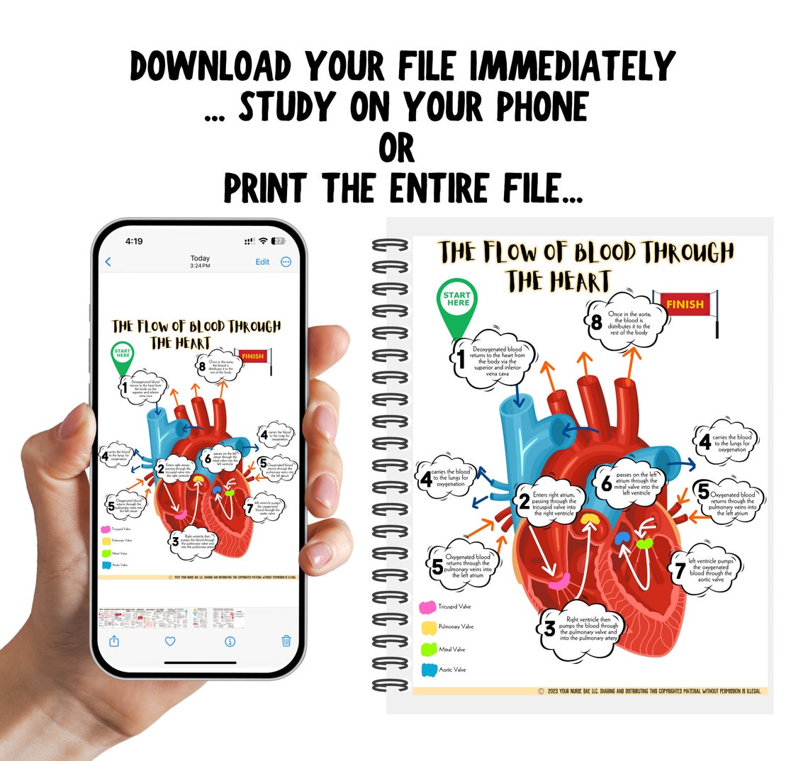 Cardiac Nursing Study Guide: Med Surg I/II Notes (digital Download) - Etsy