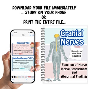 Cranial Nerves Study Guide for Nursing Students - Etsy