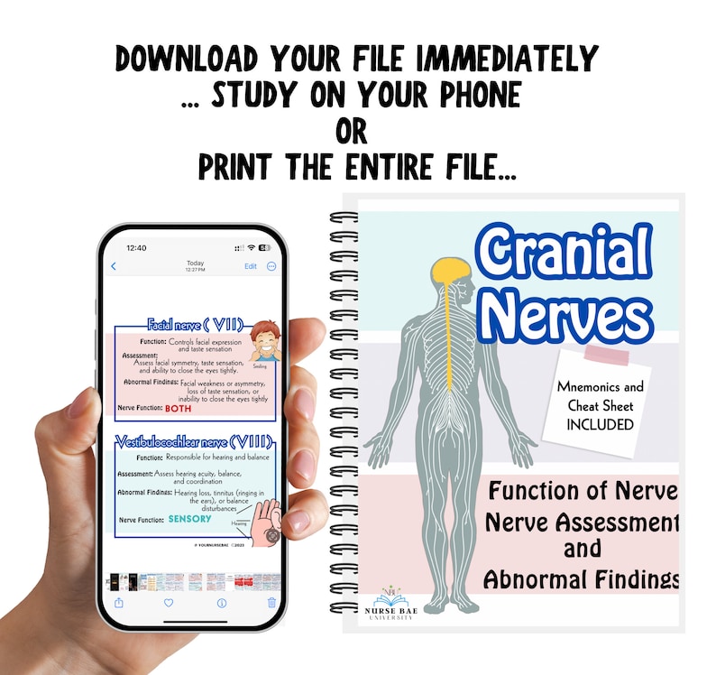 Cranial Nerves Study Guide for Nursing Students - Etsy