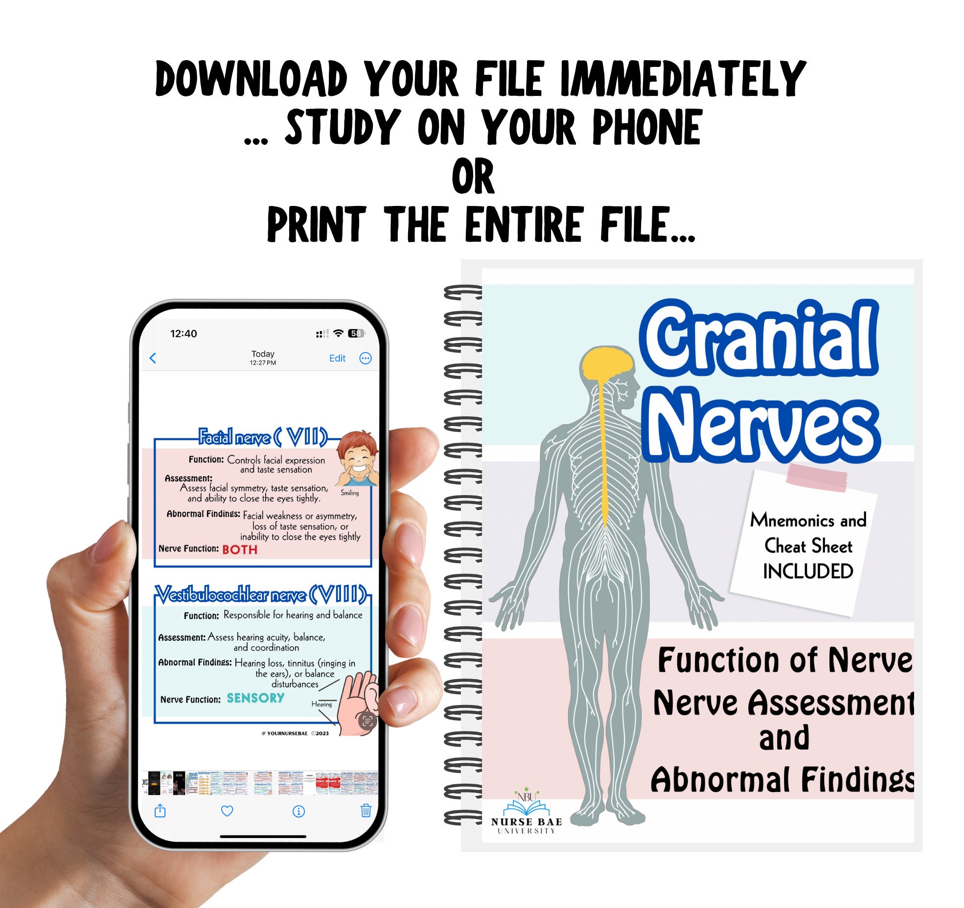 Cranial Nerves Study Guide for Nursing Students - Etsy