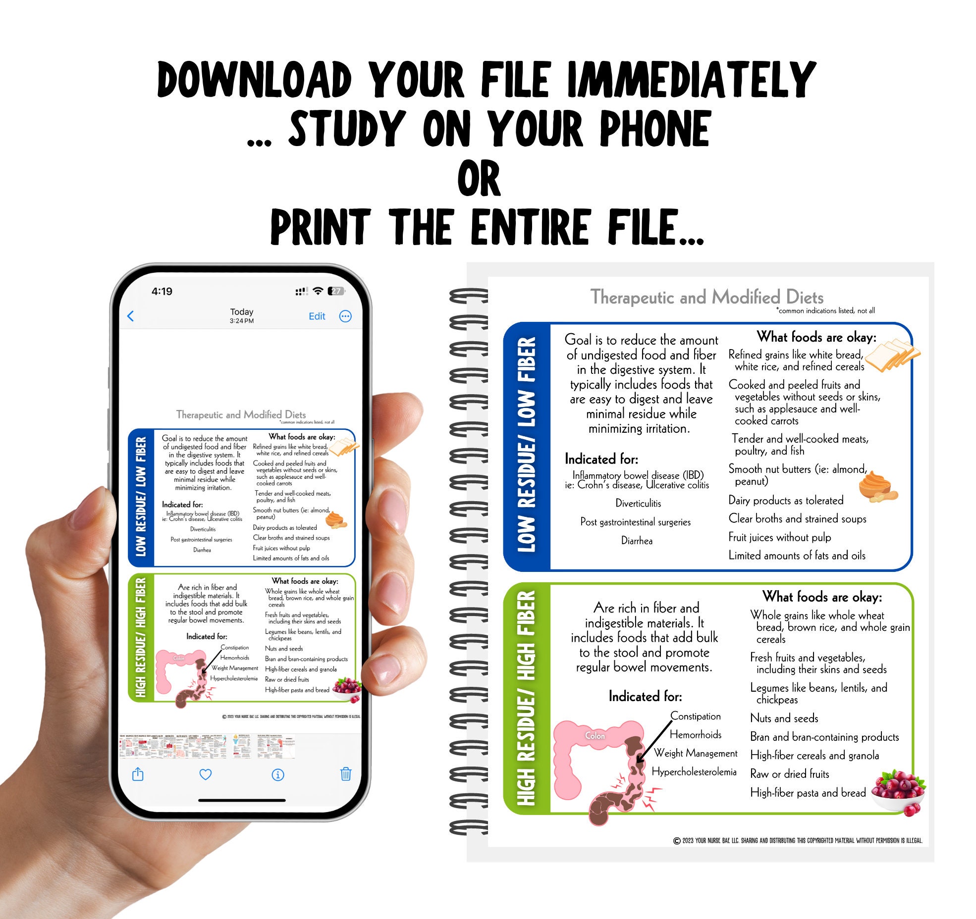 Therapeutic and Modified Diets Nursing Notes and Study Sheets - Etsy
