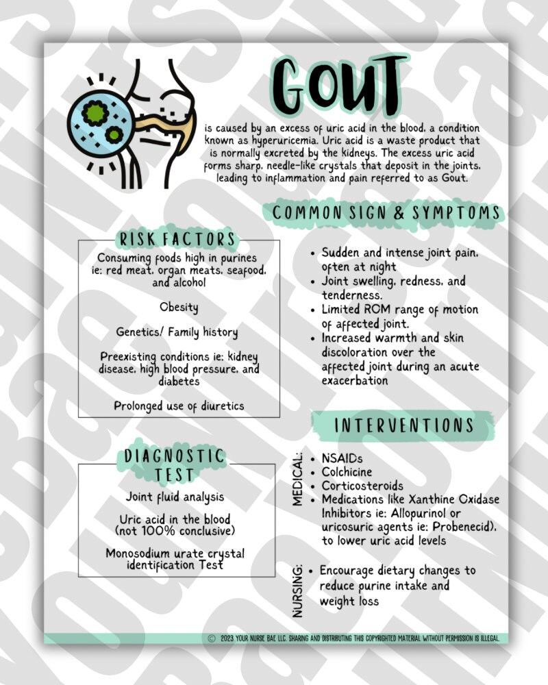 Musculoskeletal Study Guide, Nursing Med Surg I/II, Nursing Bundle ...