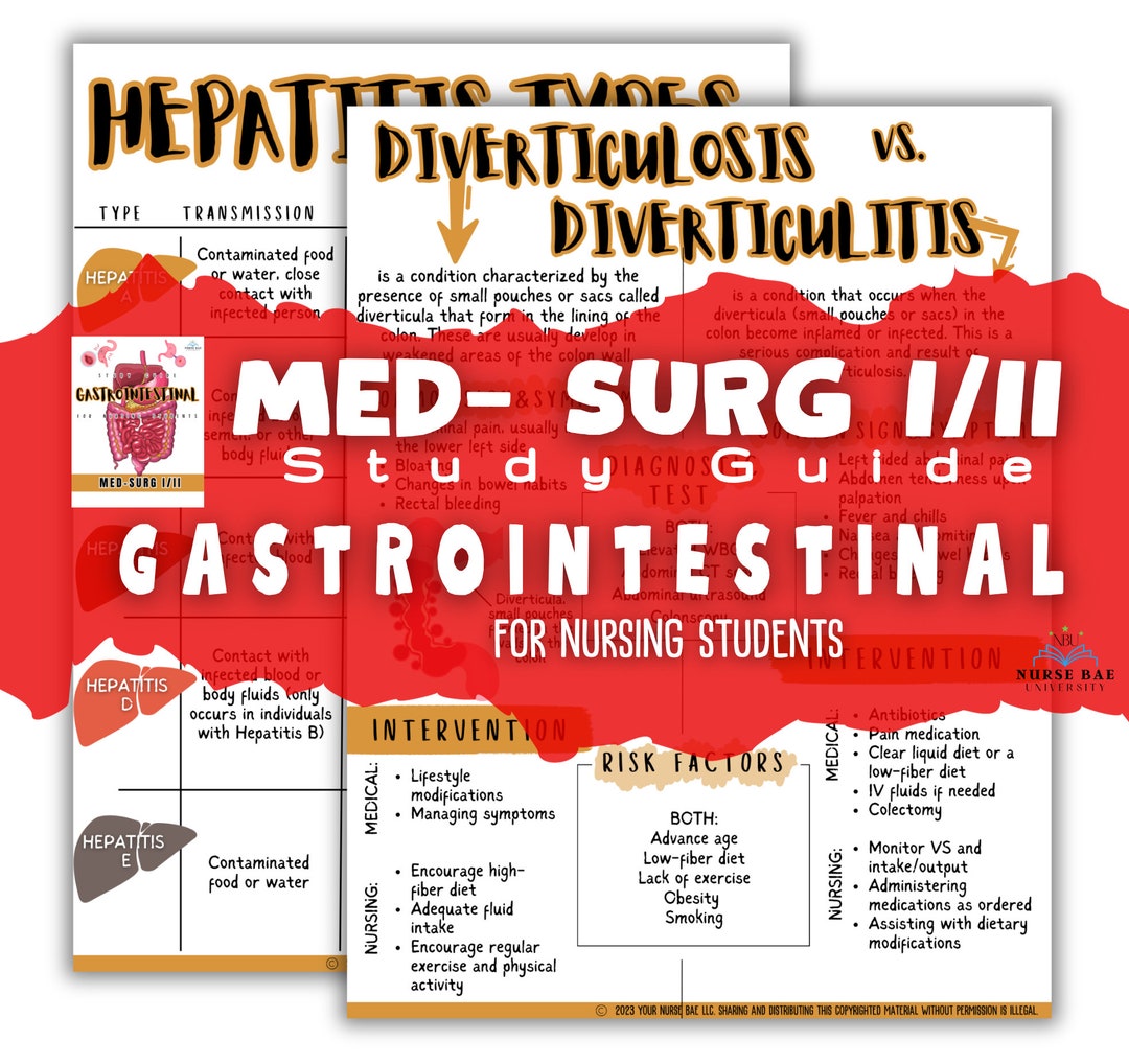 GI Med Surg Nursing Study Guide: Gastrointestinal Disorders (PDF) - Etsy
