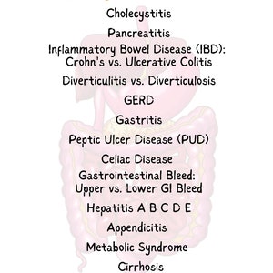 GI Med Surg Nursing Study Guide: Gastrointestinal Disorders (PDF) - Etsy