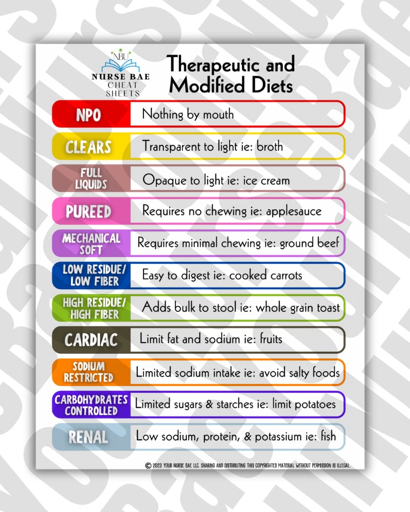 Therapeutic and Modified Diets Nursing Notes and Study Sheets - Etsy
