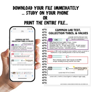 ABG Values and Lab Values - Nursing Study Sheet - Etsy