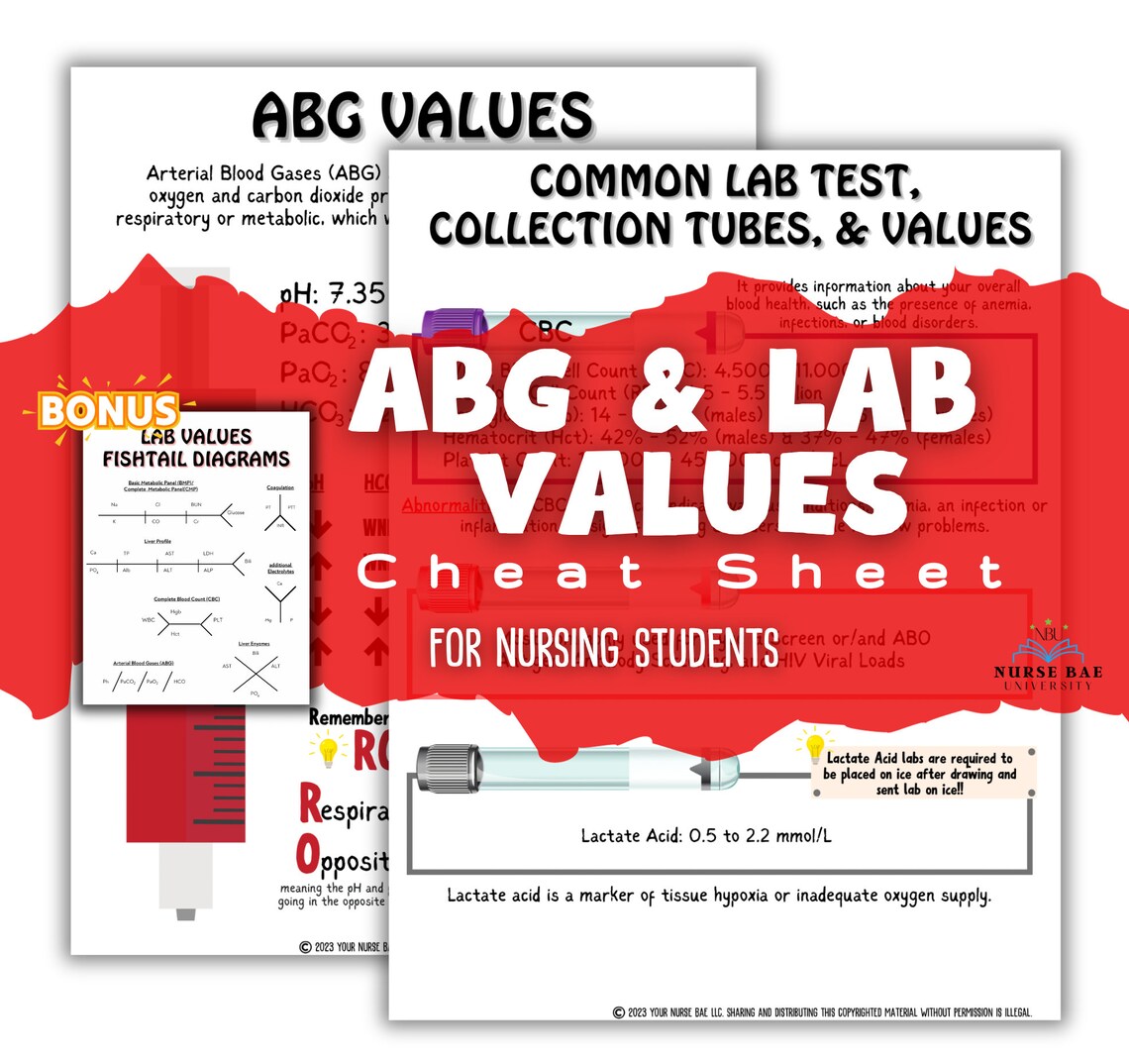 ABG Values and Lab Values - Nursing Study Sheet - Etsy